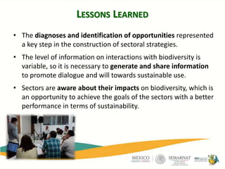 Presentation by Mexico - Challenges and opportunities in mainstreaming ...