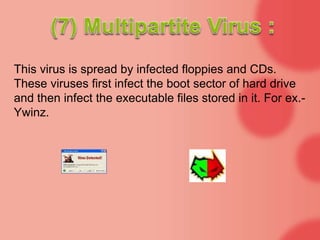 Presentation on Computer Viruses | PPTX