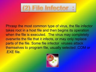 Presentation on Computer Viruses | PPTX