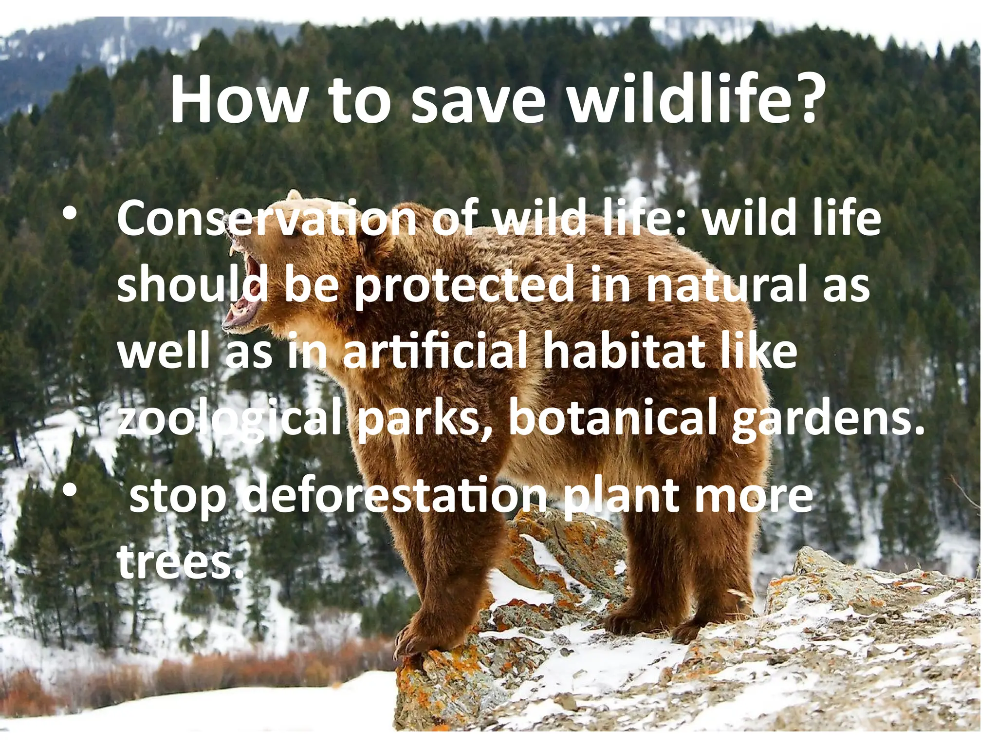 presentation by nancy.pptx conservation and protection of forest and ...