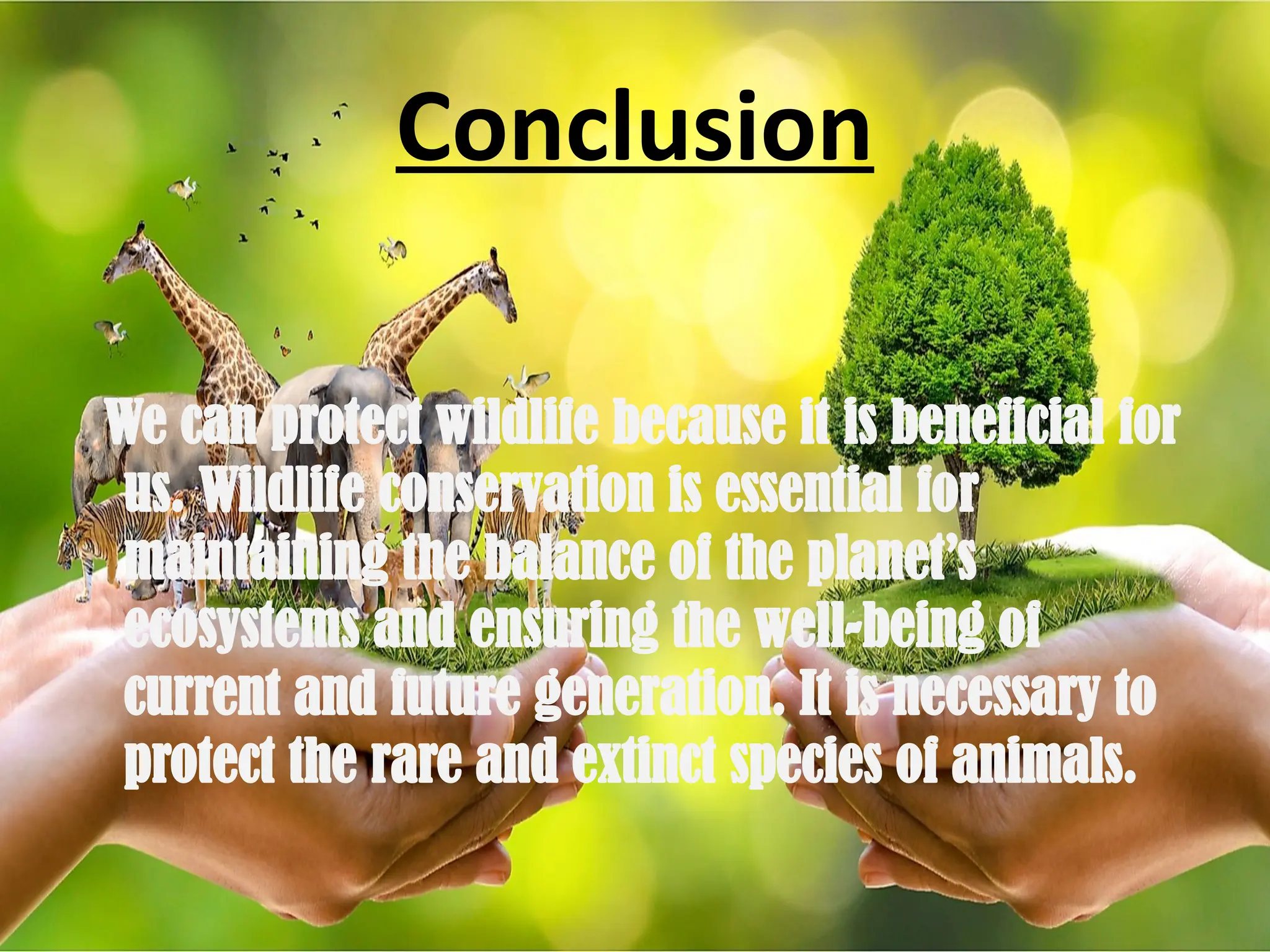 presentation by nancy.pptx conservation and protection of forest and ...