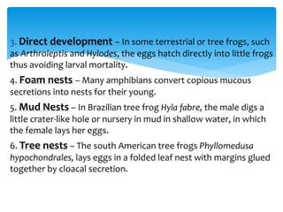 Parental care in Amphibians | PPTX