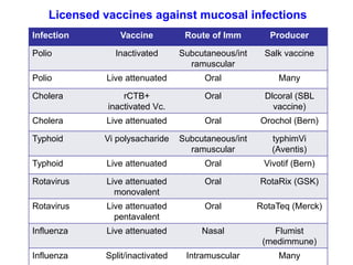 Mucosal Immunity | PDF