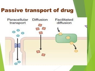 Absorption of Drugs and Factors Affecting Drugs Absorption | PPT
