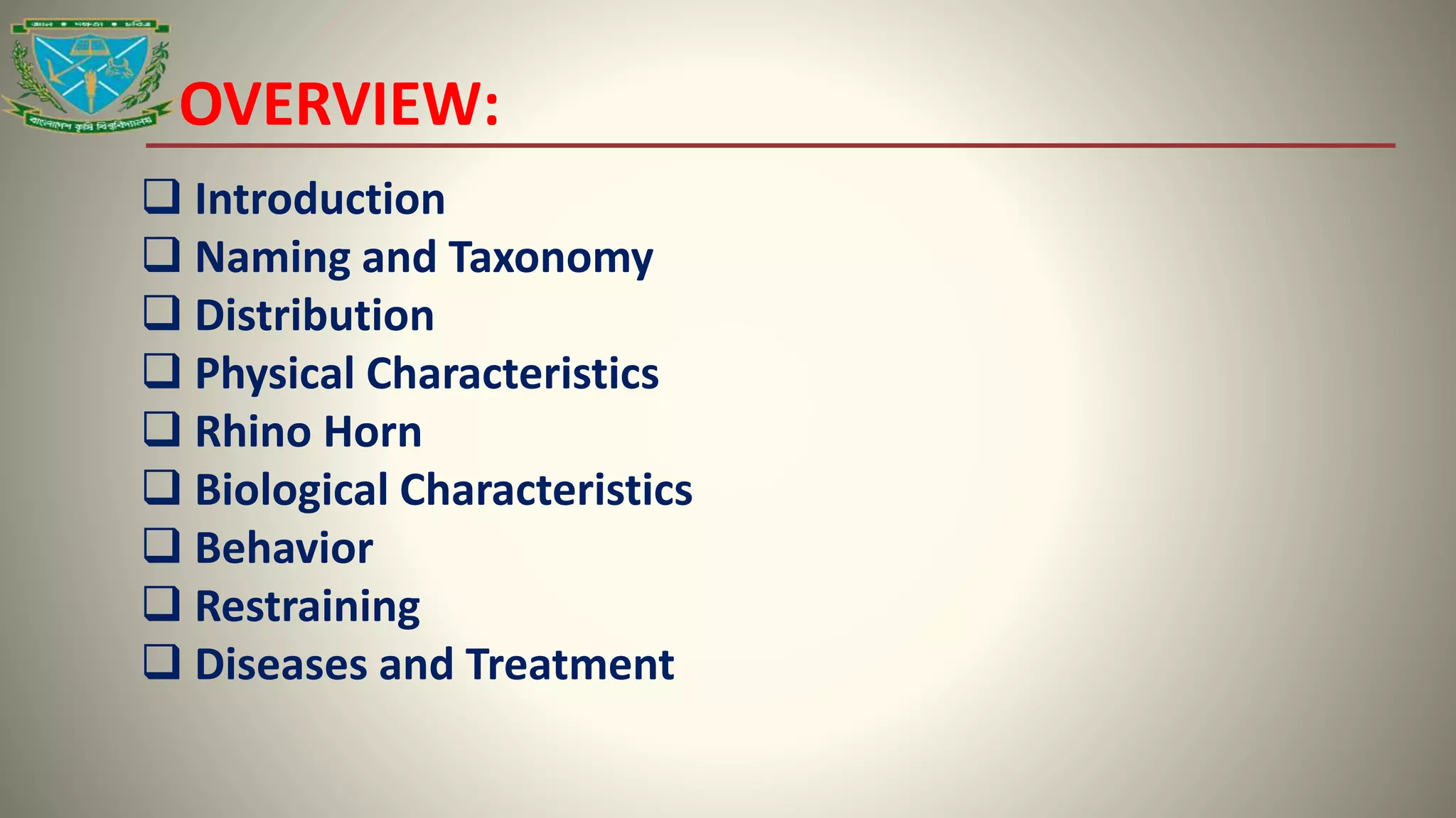Presentation On Rhinoceros by SAIFUL | PPTX