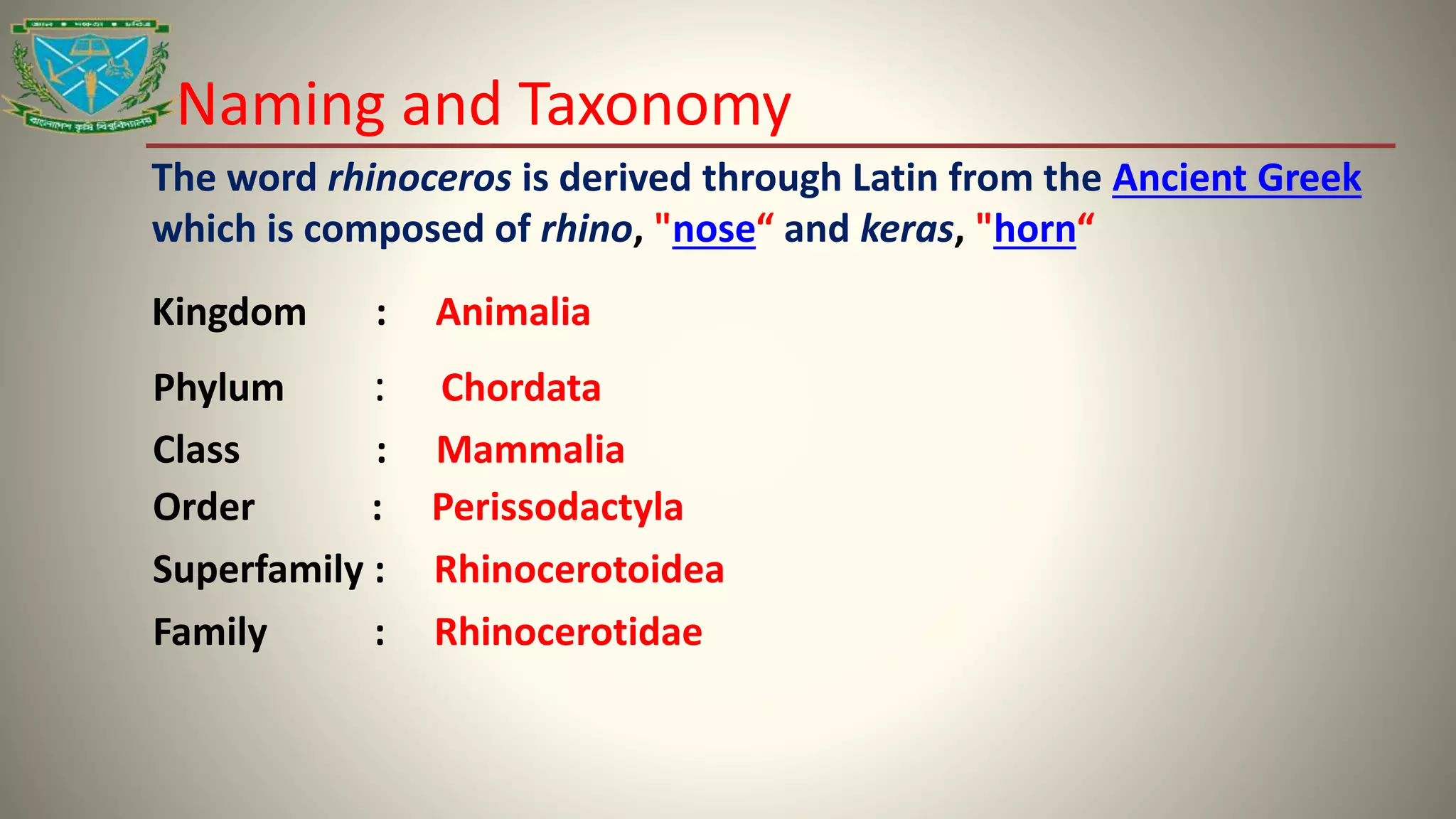 Presentation On Rhinoceros by SAIFUL | PPTX