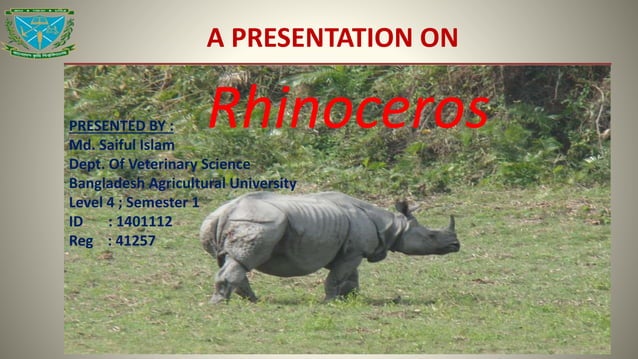 Presentation On Rhinoceros by SAIFUL | PPTX | Large Animals | Pets