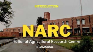 Internship at NARC Islamabad.pptx