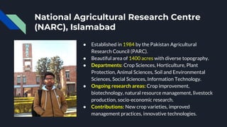 Internship at NARC Islamabad.pptx