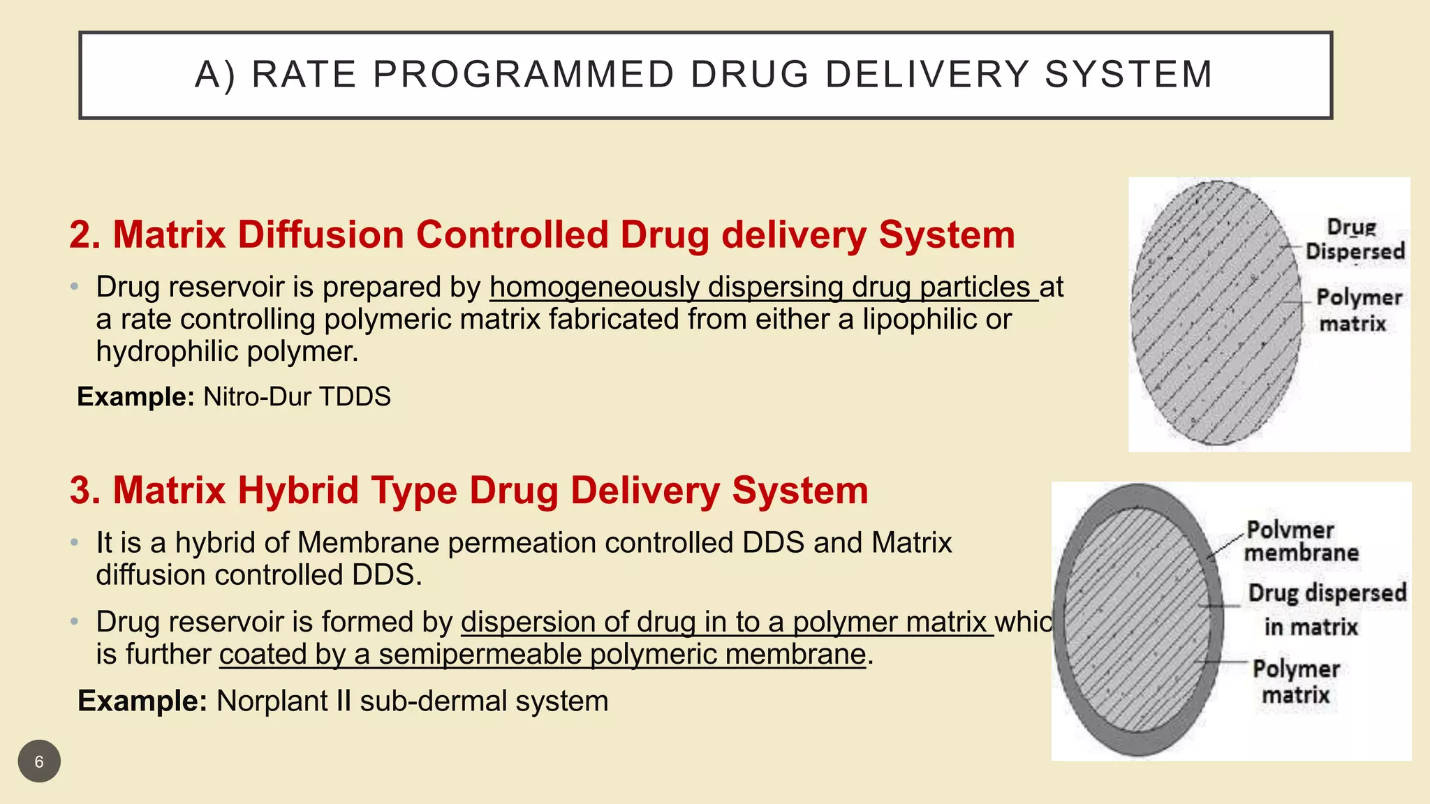 Implantable Drug Delivery System | PPTX
