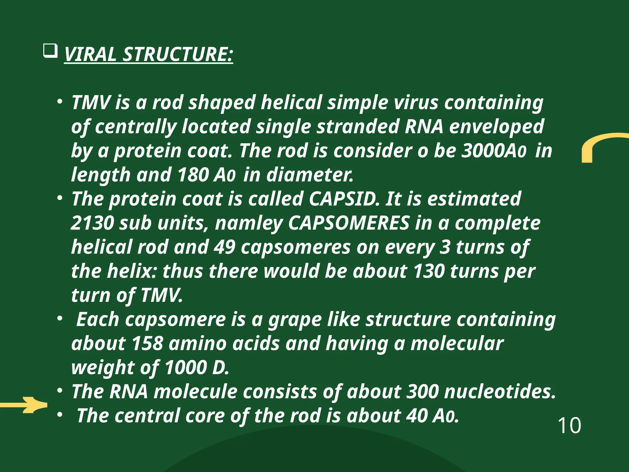 Presentation on TMV by Tanu Singh...pptx