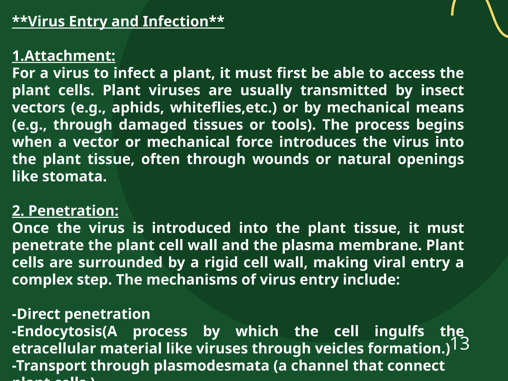 Presentation on TMV by Tanu Singh...pptx
