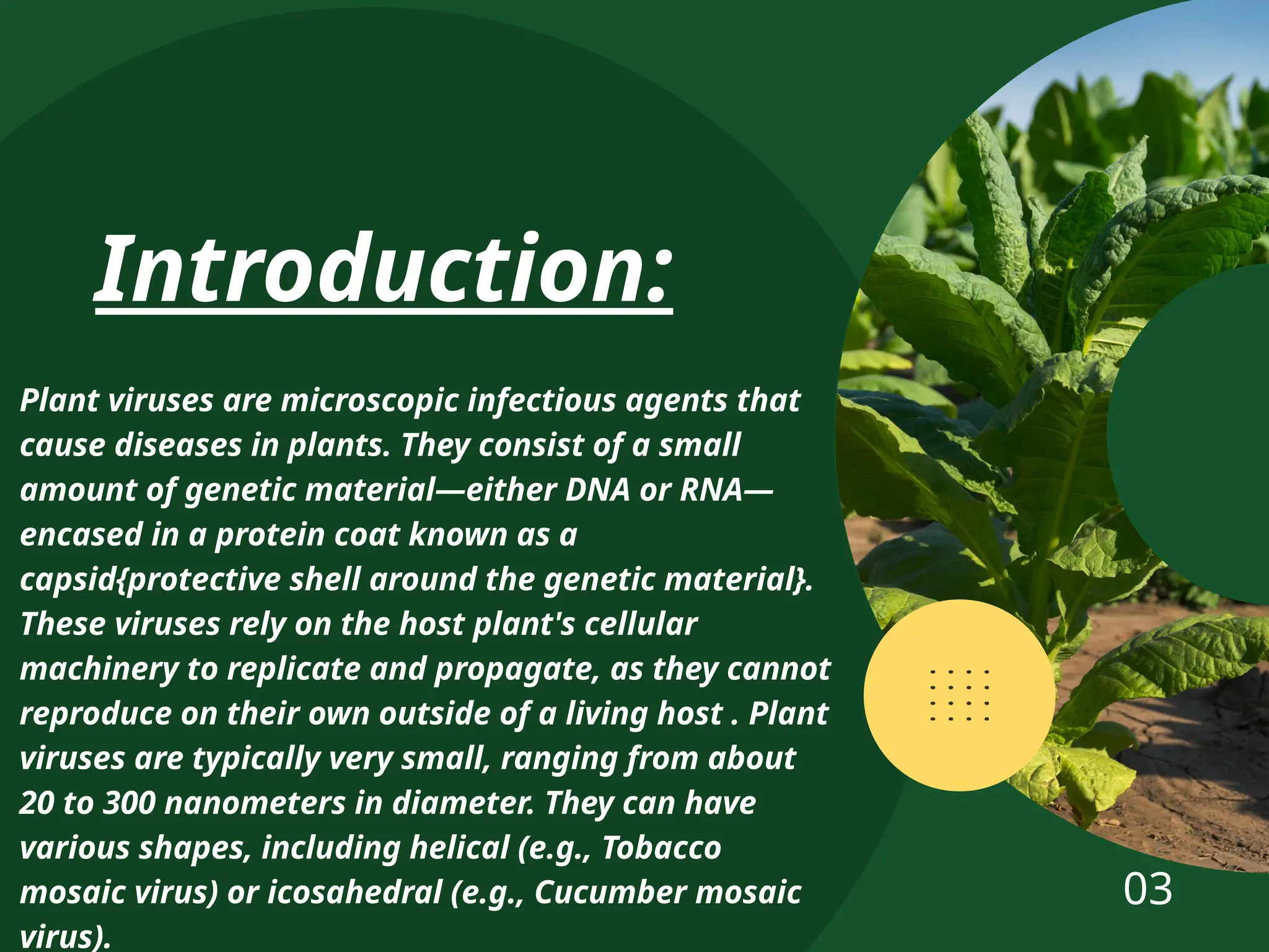 Presentation on TMV by Tanu Singh...pptx