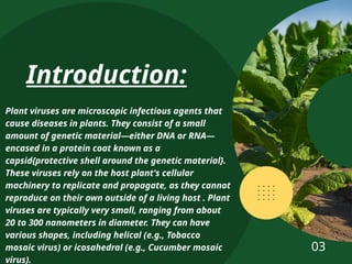 Presentation on TMV by Tanu Singh...pptx