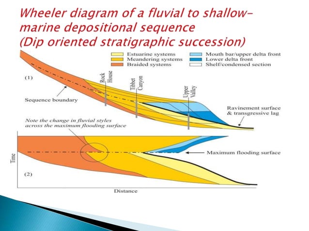 Wheeler Diagram and interpretation of wheeler diagram | PPT | Free Download