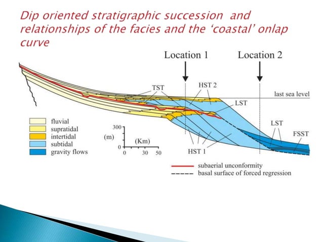 Wheeler Diagram and interpretation of wheeler diagram | PPTX