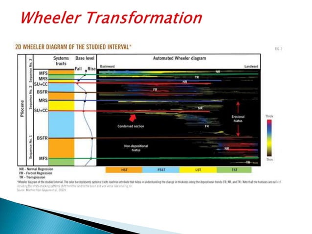 Wheeler Diagram and interpretation of wheeler diagram | PPTX