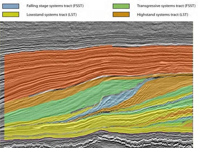 Wheeler Diagram and interpretation of wheeler diagram | PPTX