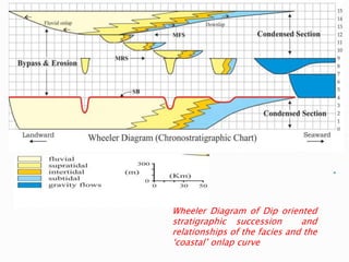 Wheeler Diagram and interpretation of wheeler diagram | PPT
