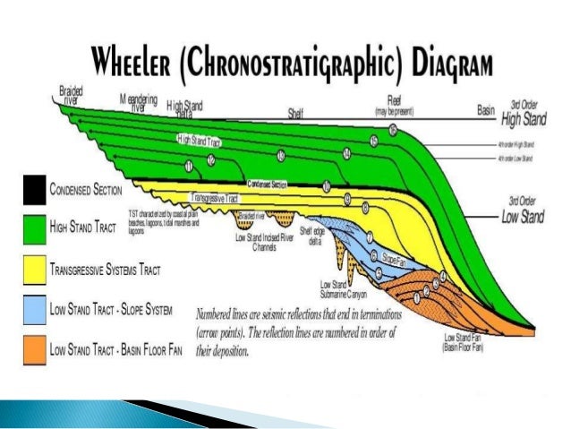 Wheeler Diagram and interpretation of wheeler diagram