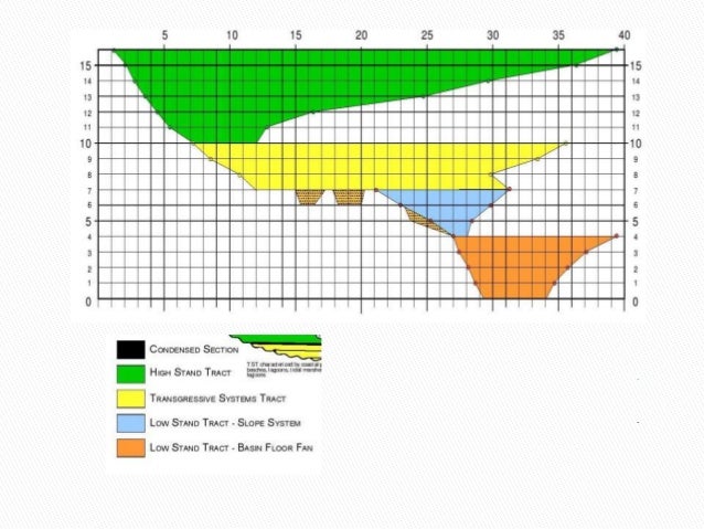 Wheeler Diagram and interpretation of wheeler diagram