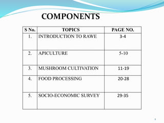 Presentation On RAWE | PPTX