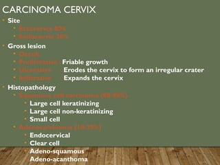 Carcinoma of cervix for undergraduates.ppt