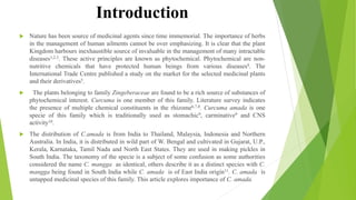 Presentation c amada | PPTX