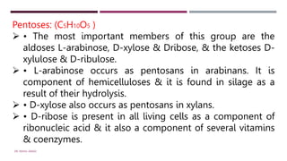 Presentation carbohydrates classification.pptx
