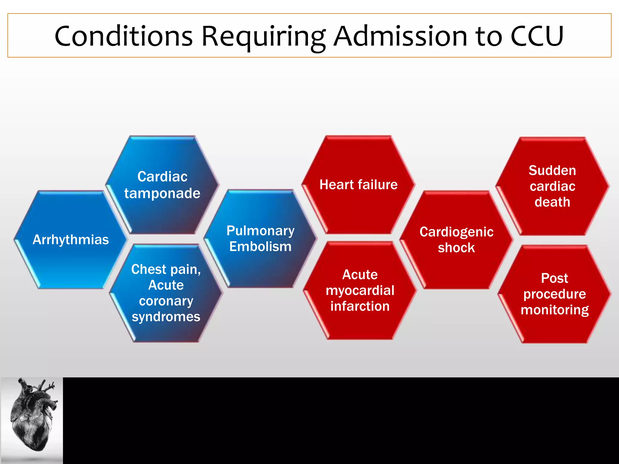 Presentation on hospital training at cardiology department | PPTX