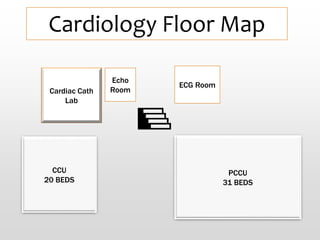 Presentation on hospital training at cardiology department | PPTX