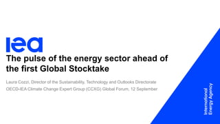 CCXG Forum, September 2023, Laura Cozzi | PDF