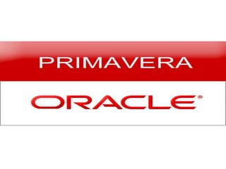 Primavera vs Microsoft project | PPTX