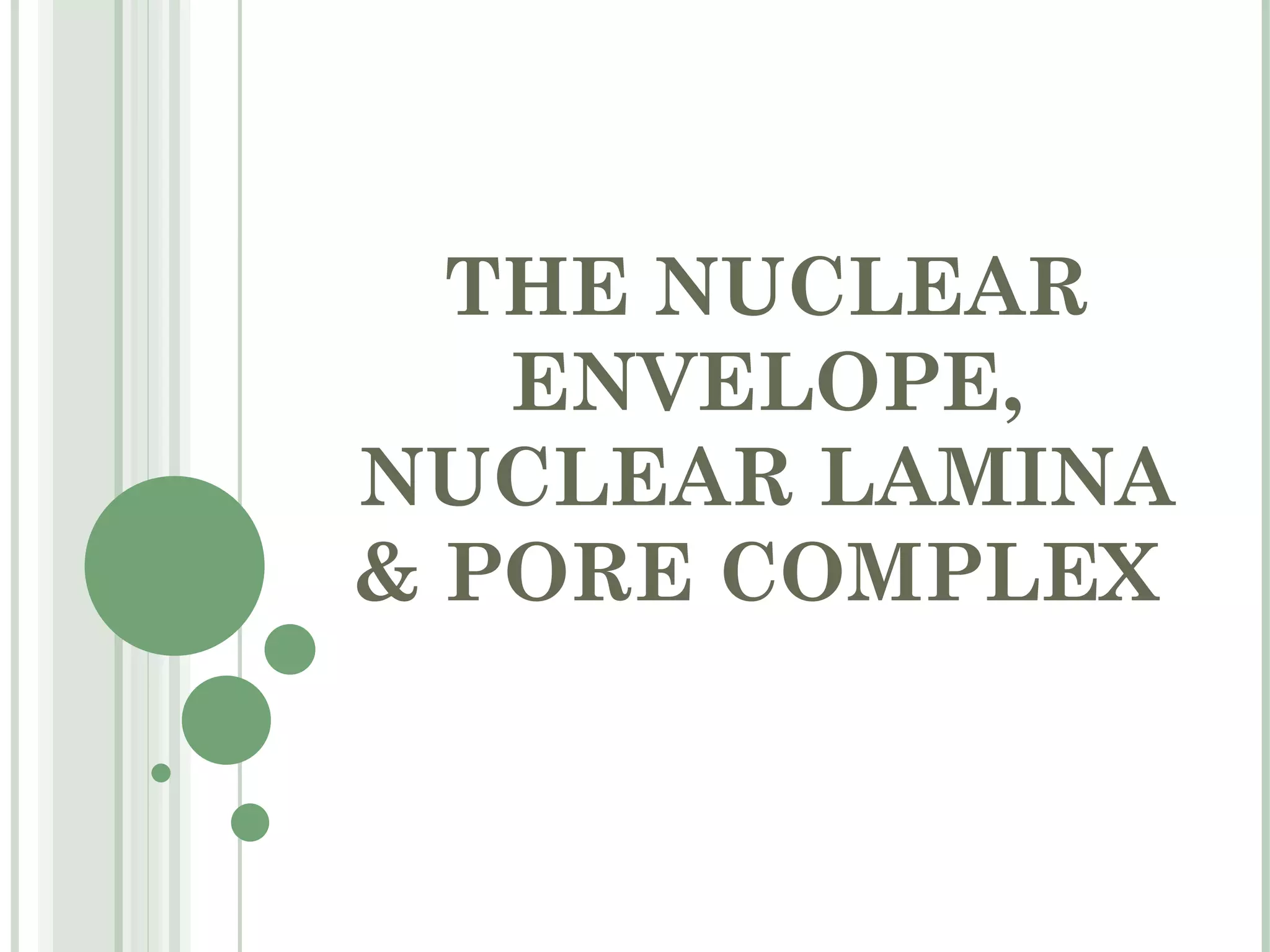 nuclear envelope | PPT