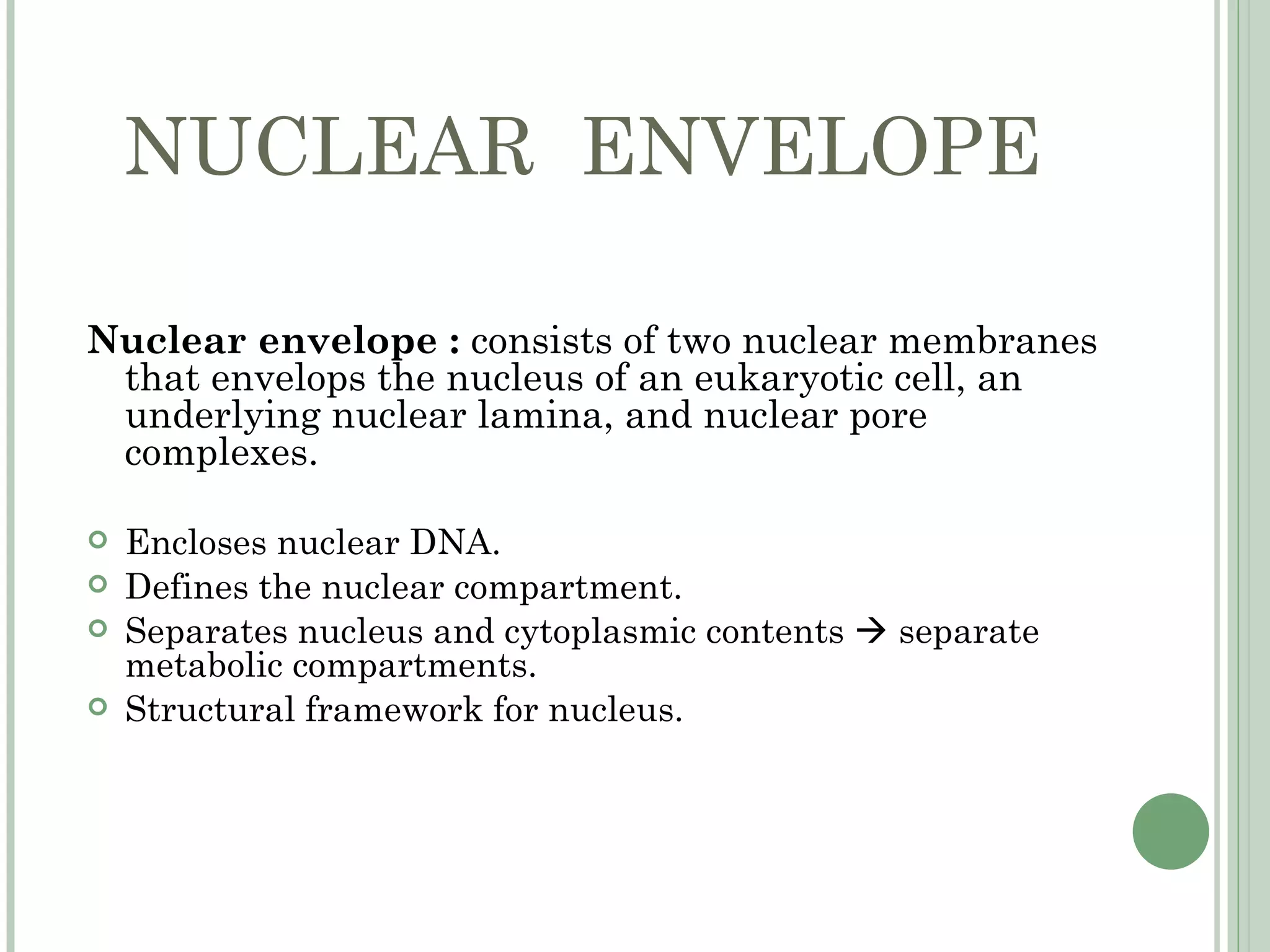 nuclear envelope | PPT