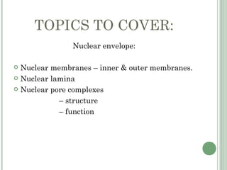 nuclear envelope | PPT