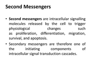 Second Messenger: cAMP Pathway | PPTX