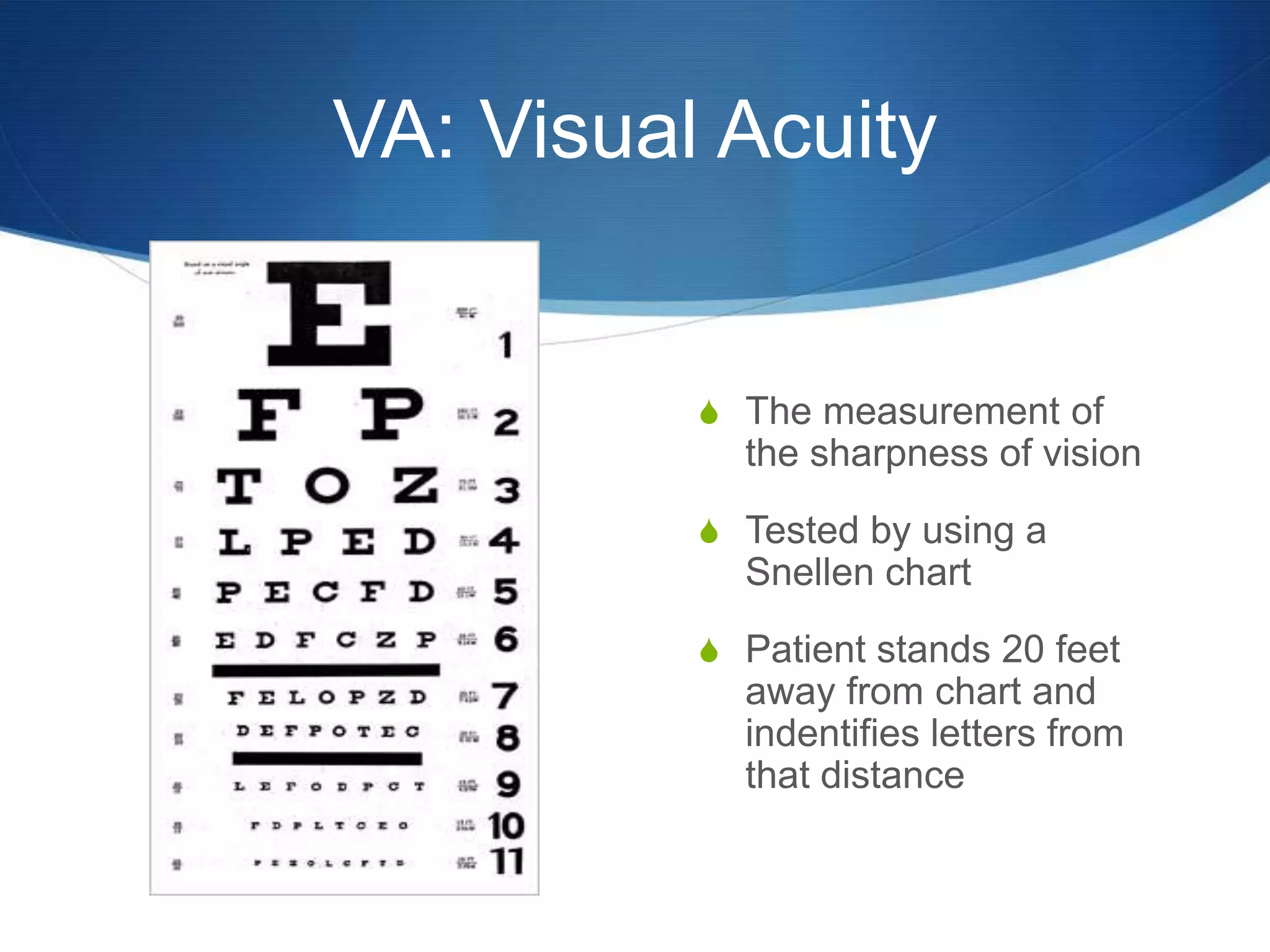 Abbreviations of the Ear and Eye | PPTX