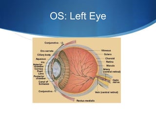 Abbreviations of the Ear and Eye | PPTX