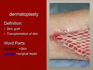 Presentation chapter 3 | PPTX | Skin and Dermatology | Diseases and ...