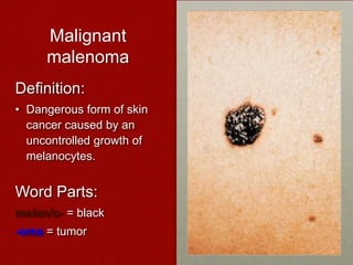 Presentation chapter 3 | PPTX | Skin and Dermatology | Diseases and ...