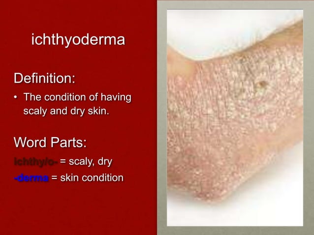 Presentation chapter 3 | PPTX | Skin and Dermatology | Diseases and ...