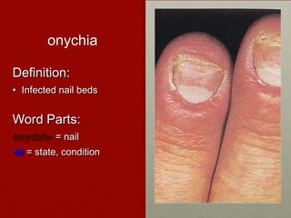 Presentation chapter 3 | PPT