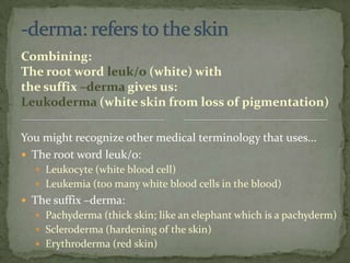 The Integumentary System - Medical Terminology | PPTX