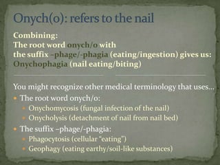 The Integumentary System - Medical Terminology | PPTX