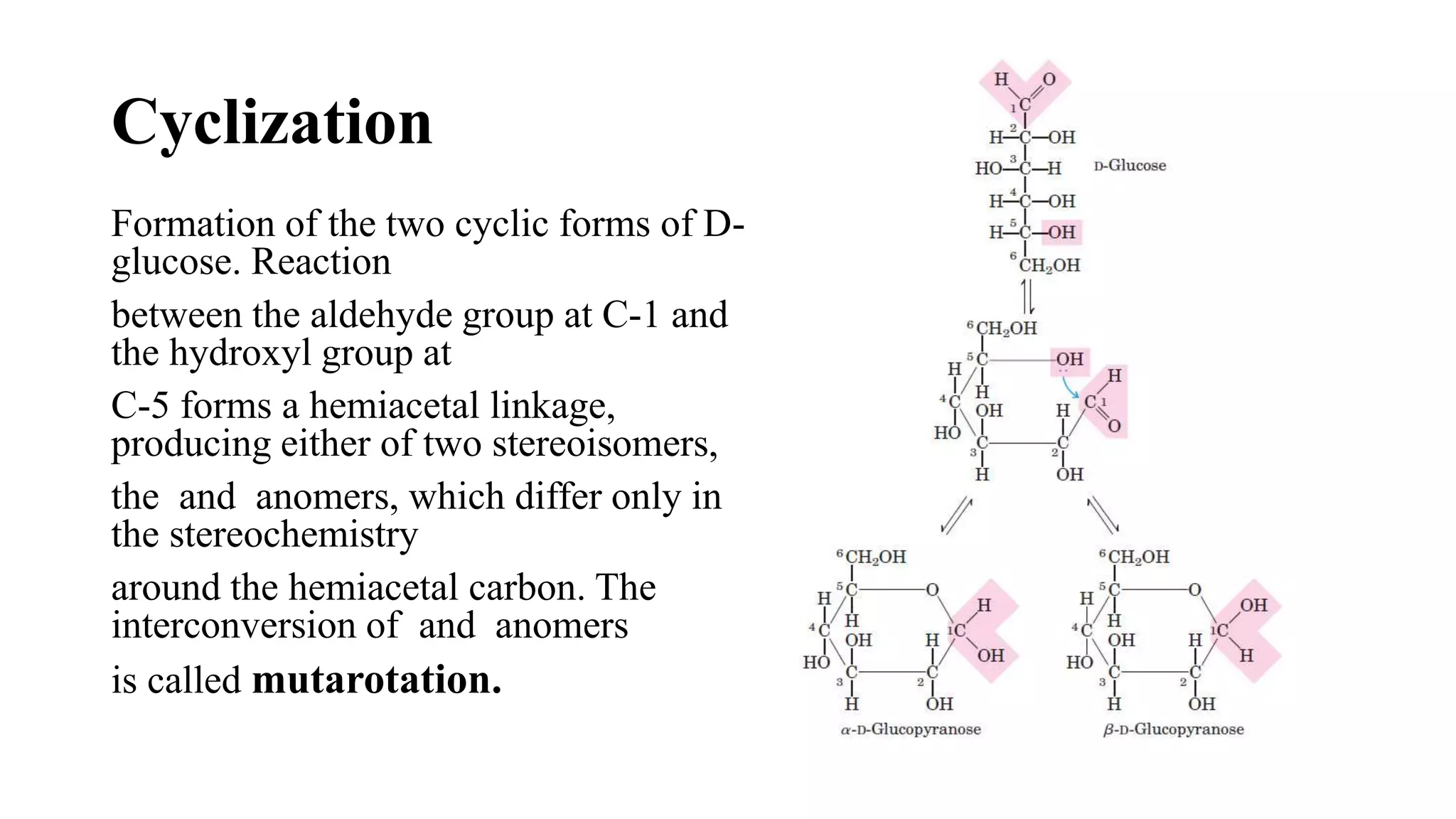 Biochemistry of Carbohydrates | PPTX