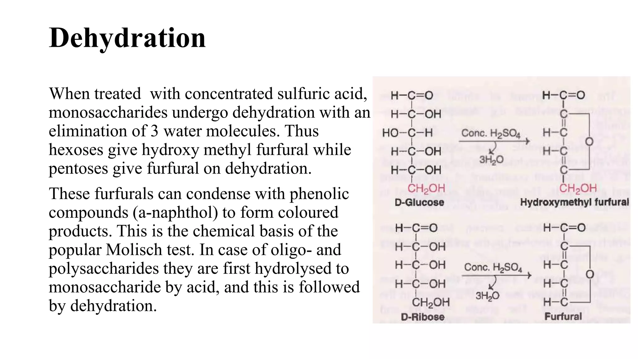 Biochemistry of Carbohydrates | PPTX