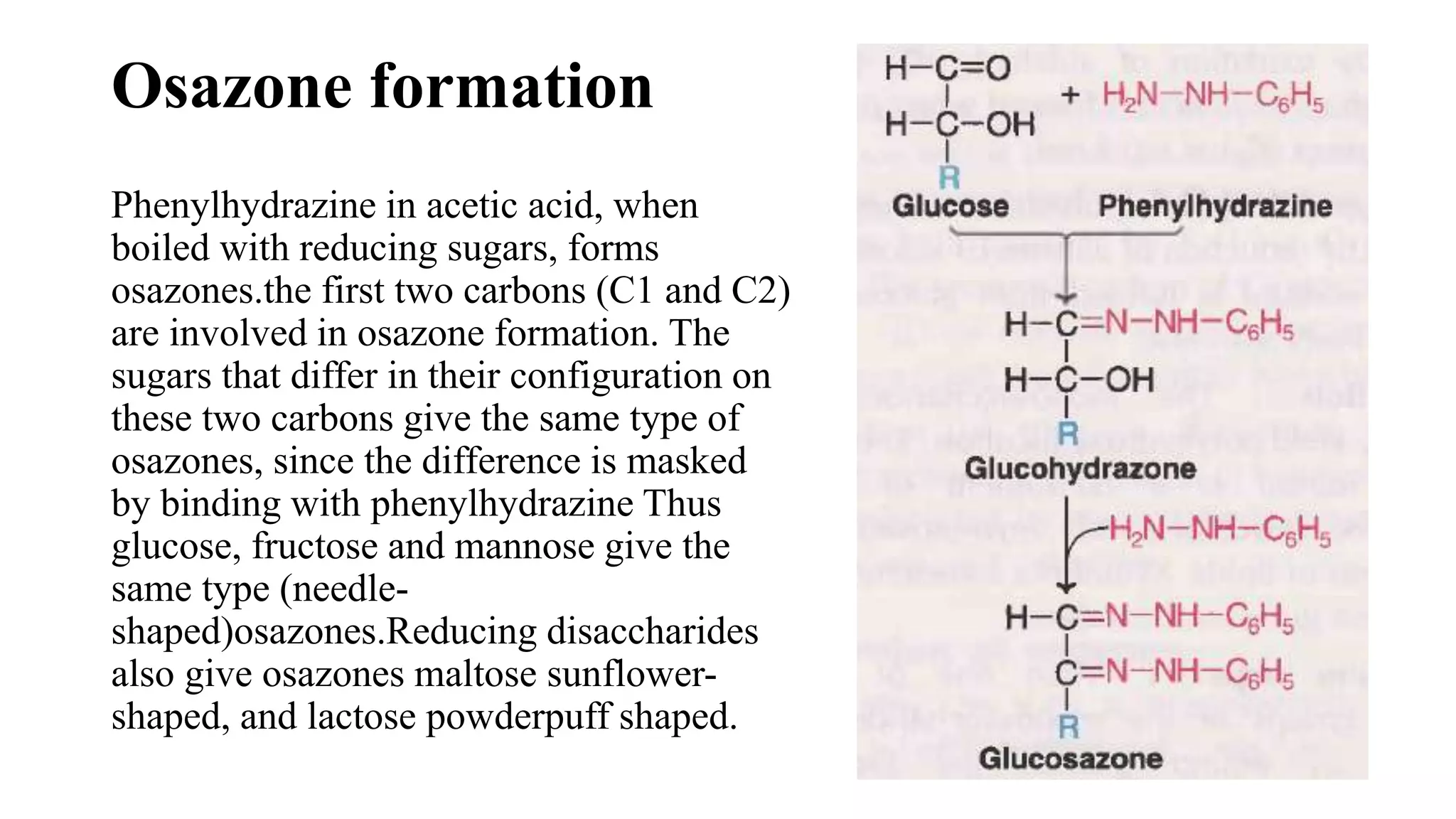 Biochemistry of Carbohydrates | PPTX