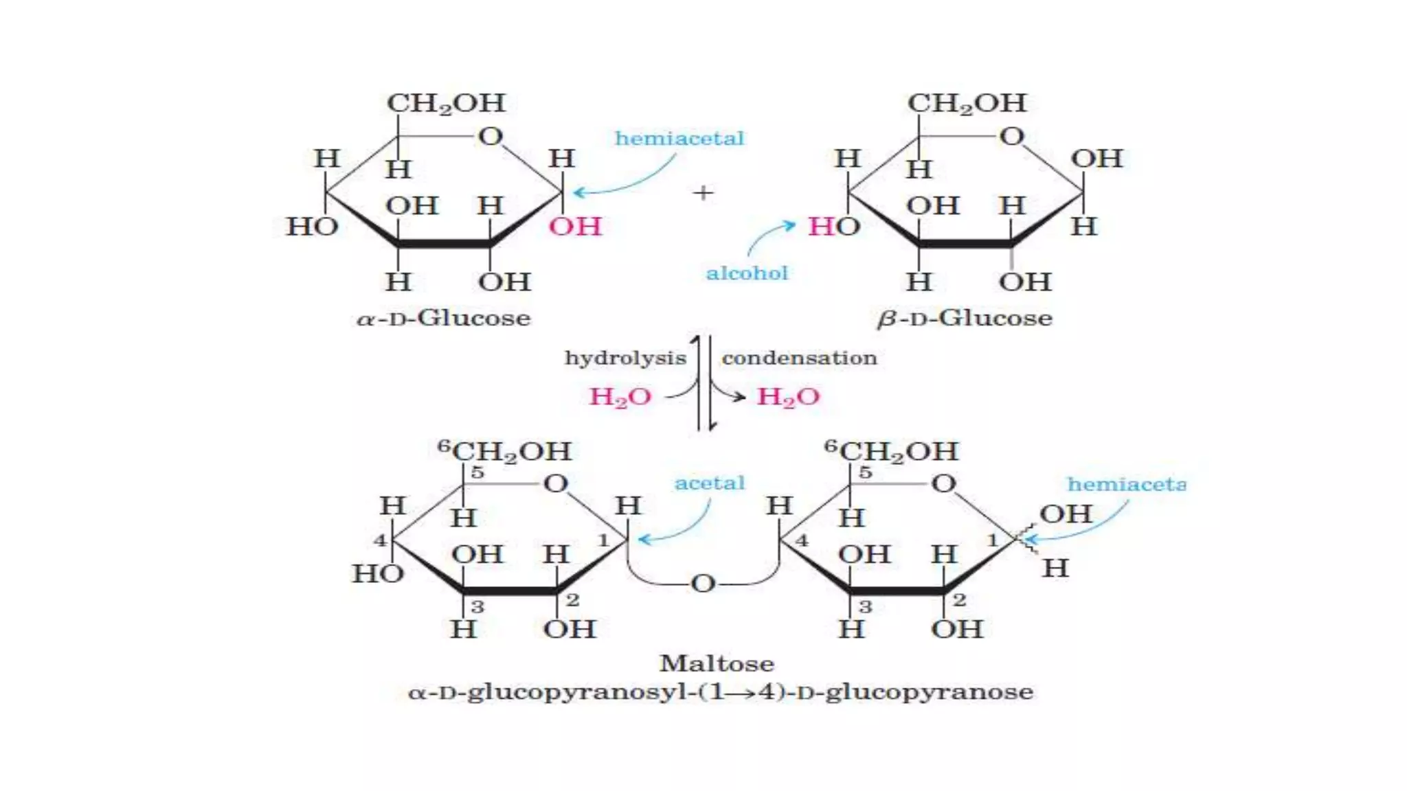 Biochemistry of Carbohydrates | PPTX