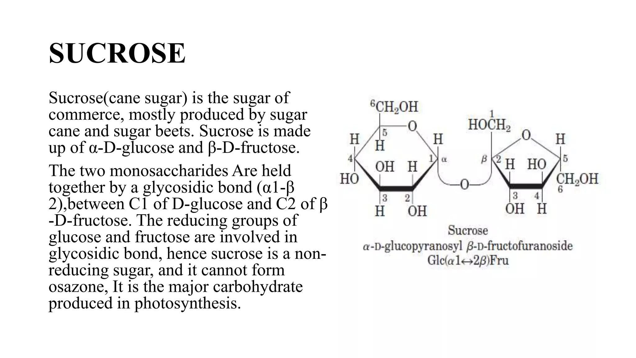Biochemistry of Carbohydrates | PPTX